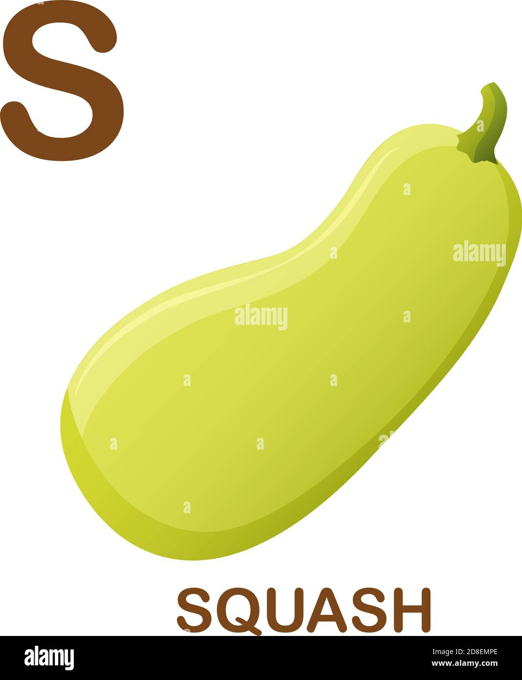 Squash vector icon. Illustration for alphabet on white background ...