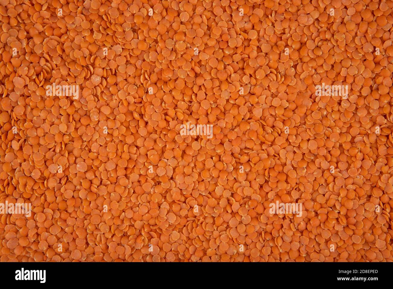 Red lentils texture - top view and lentil beans closeup Stock Photo - Alamy