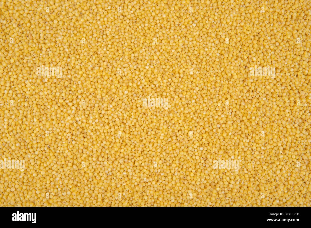 Millet texture - top view and closeup on millet grains Stock Photo - Alamy