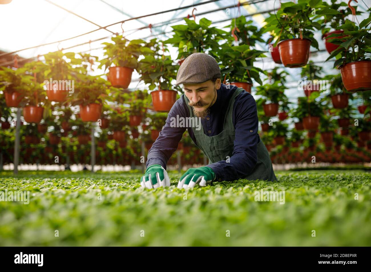 Modern gardener hi-res stock photography and images - Alamy