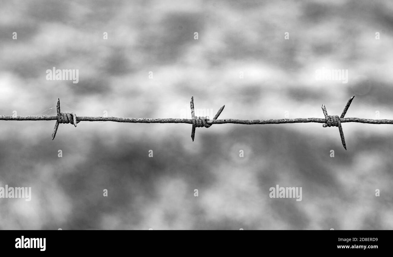 Razor wire Black and White Stock Photos & Images - Alamy