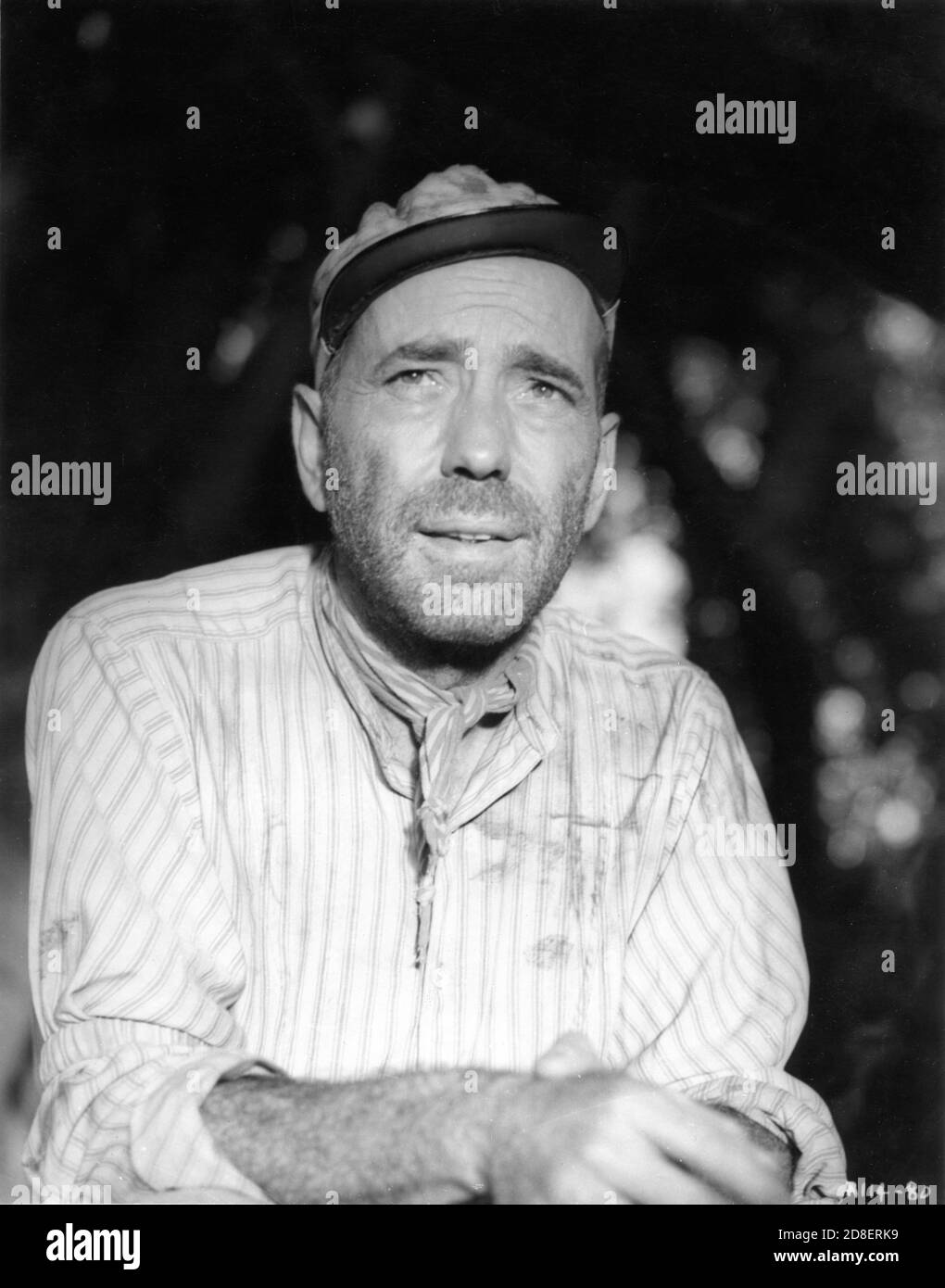 Independent film distributors hi-res stock photography and images - Alamy