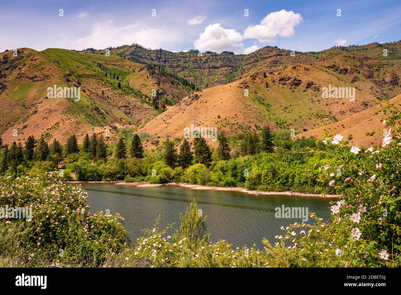Hells Canyon National Recreation Area Stock Photo - Alamy