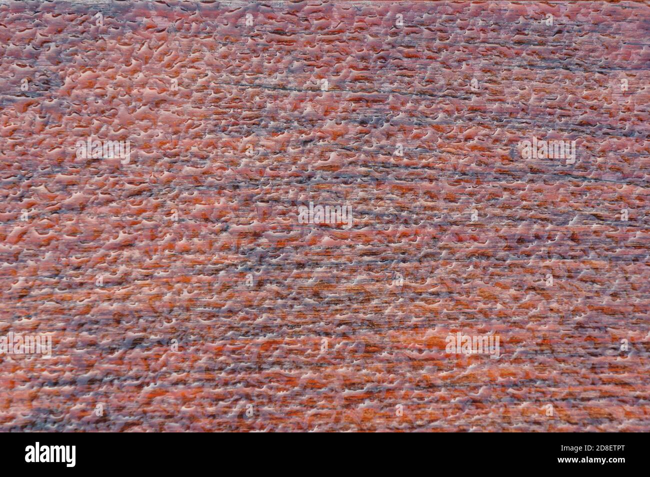 Rough red wall texture for backgrounds Stock Photo - Alamy