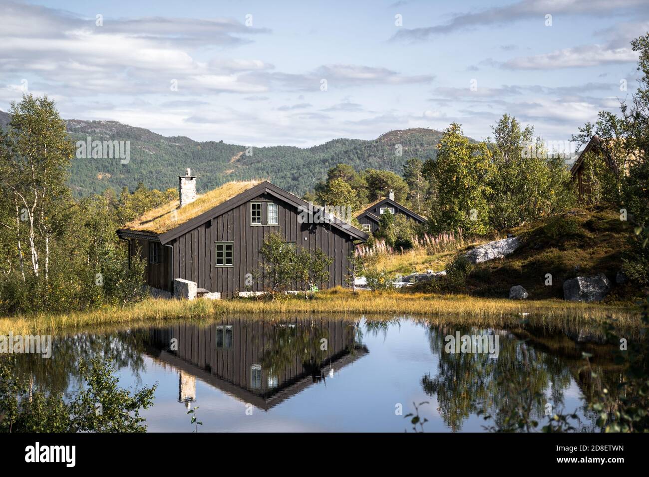 Norwegian traditional wooden cabin with grass roof reflecting on the ...