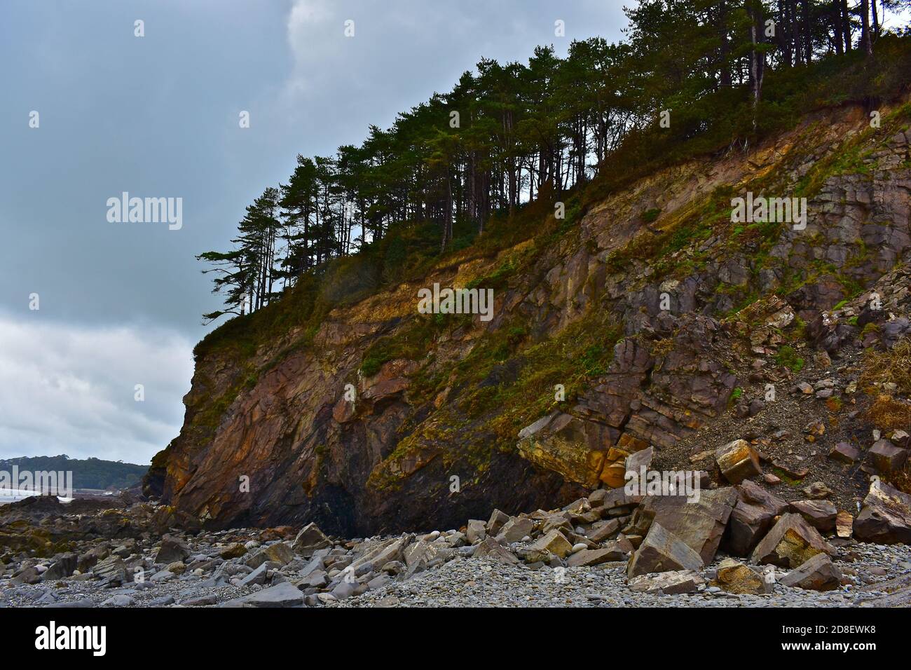A view of the tree-topped cliffs to the rear of the beach at Amroth ...