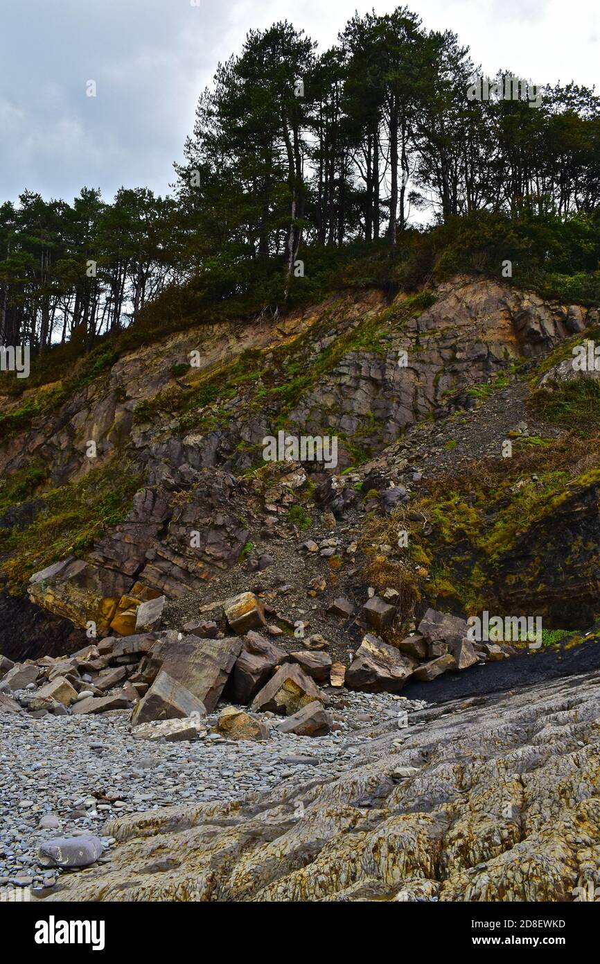 A view of the tree-topped cliffs to the rear of the beach at Amroth ...