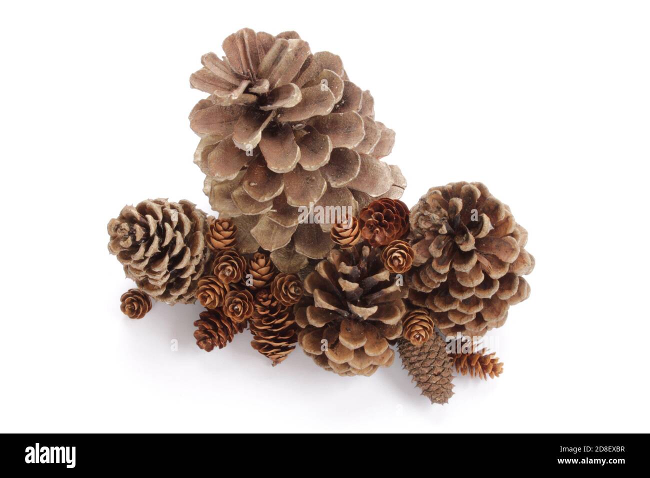 Cone collection hi-res stock photography and images - Alamy