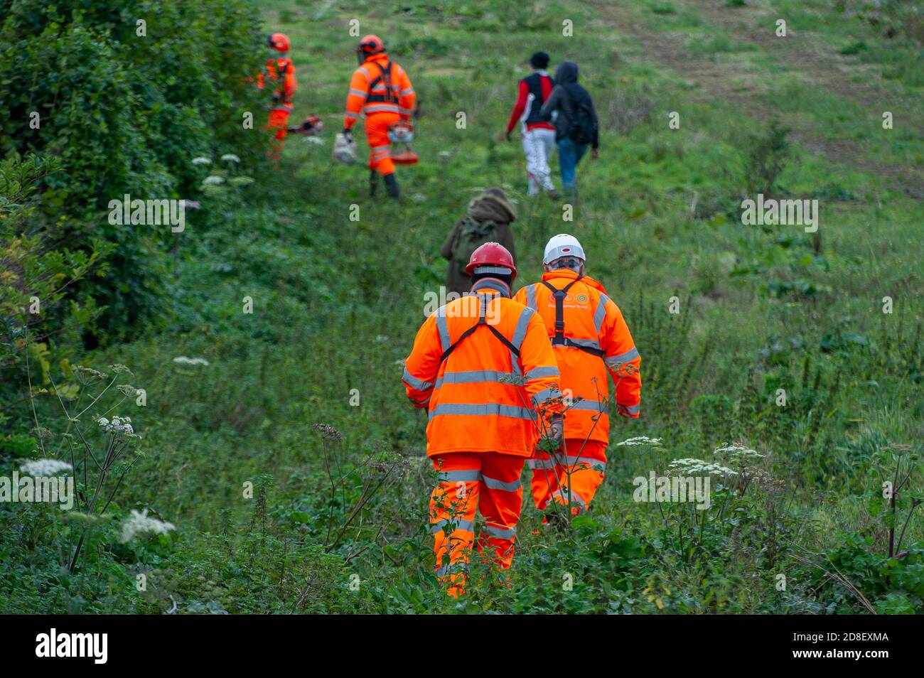 Badger licence hi-res stock photography and images - Alamy