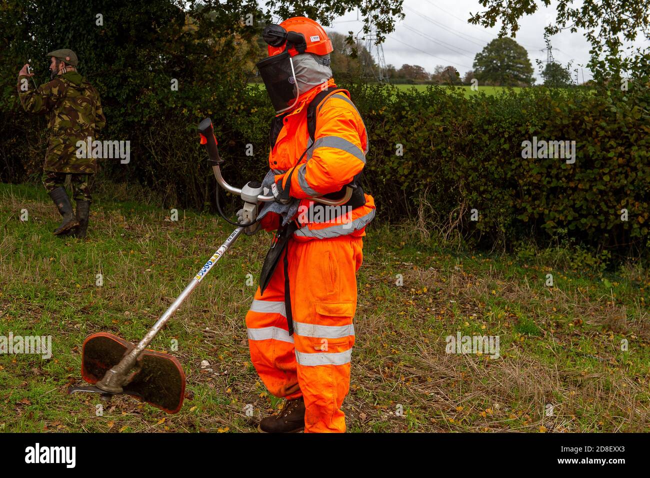 Badger licence hi-res stock photography and images - Alamy