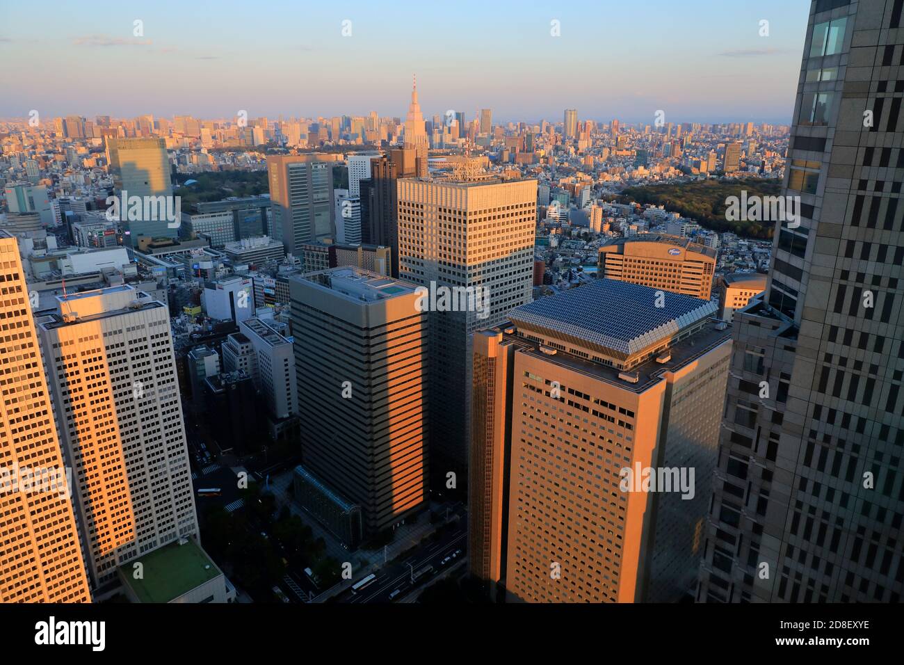 Cityscape of Tokyo with skyscrapers in Shinjuku in foreground from ...