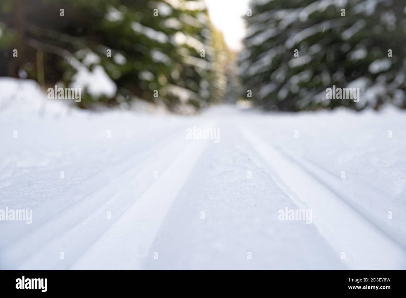 Groomed forest hi-res stock photography and images - Alamy