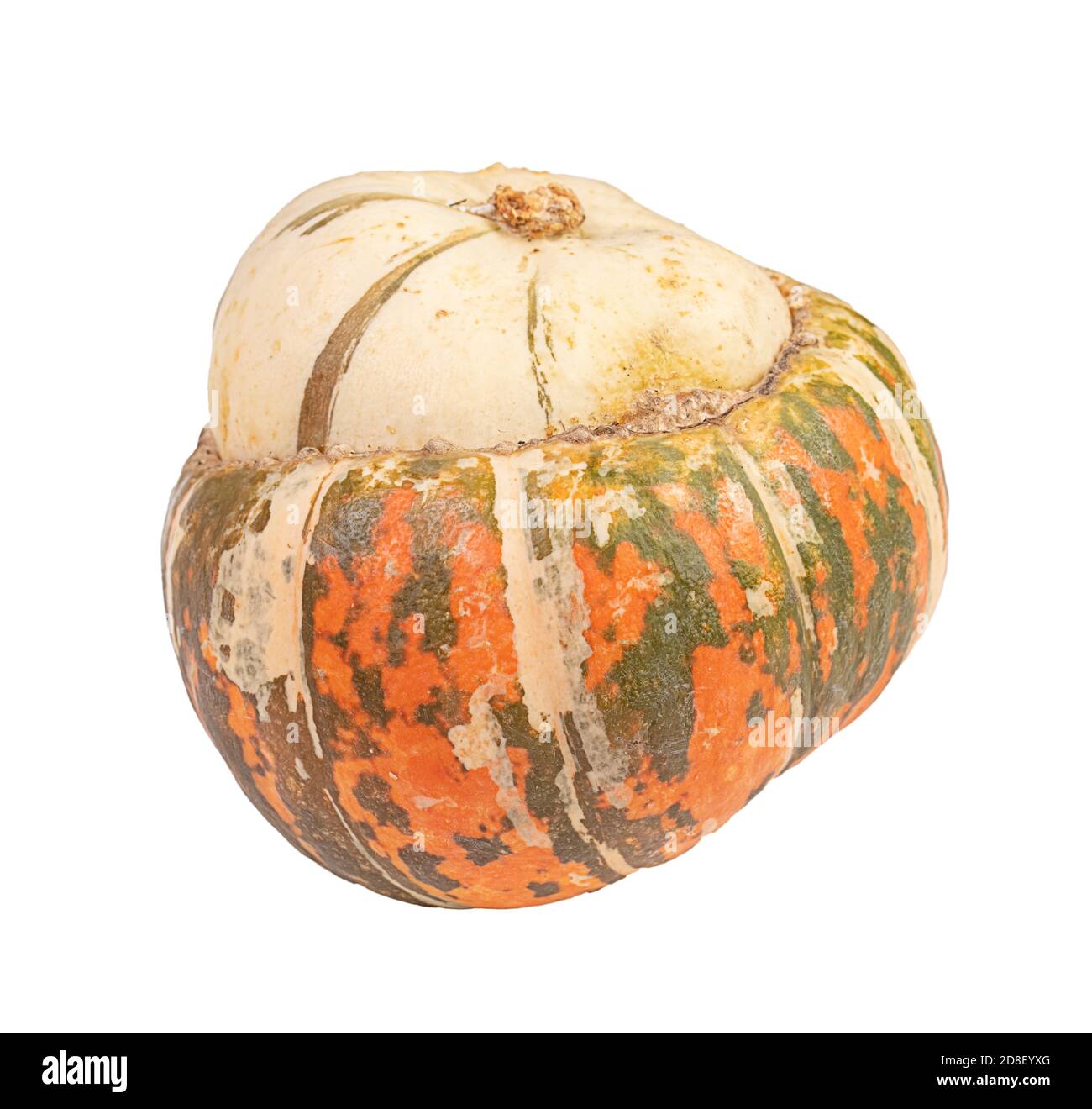 Giromon Squash