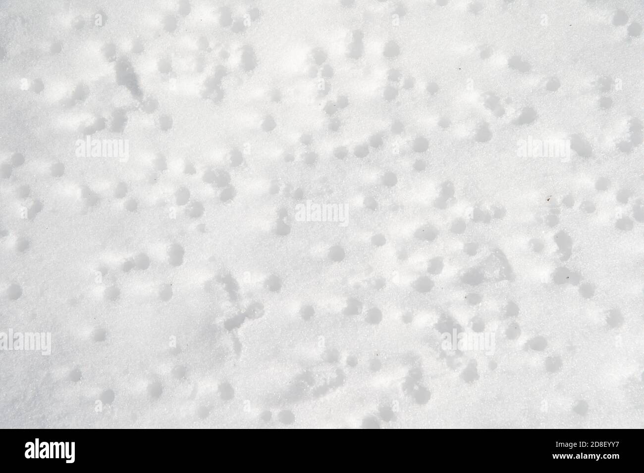structure of white frozen snow in winter Stock Photo - Alamy
