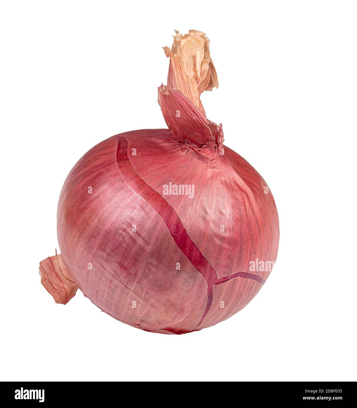 Red onion with skin on white background Stock Photo - Alamy