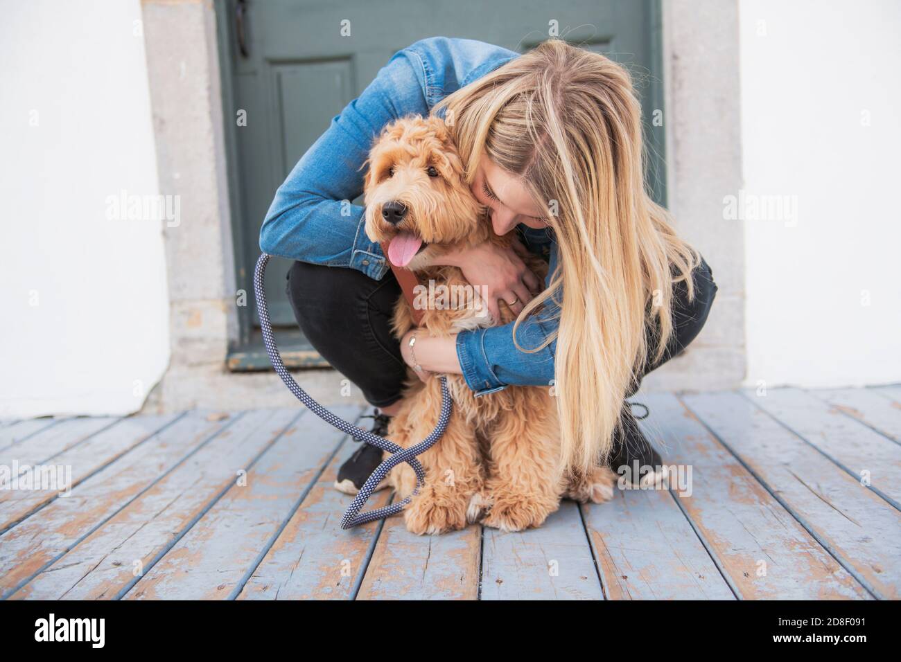 Labradoodle Dog and woman outside on balcony Stock Photo - Alamy