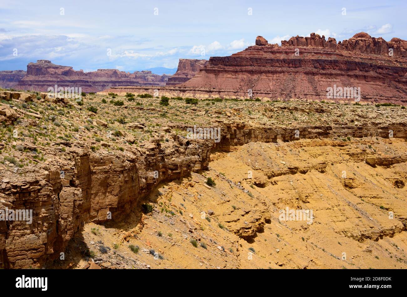 Spotted Wolf Canyon Stock Photo - Alamy