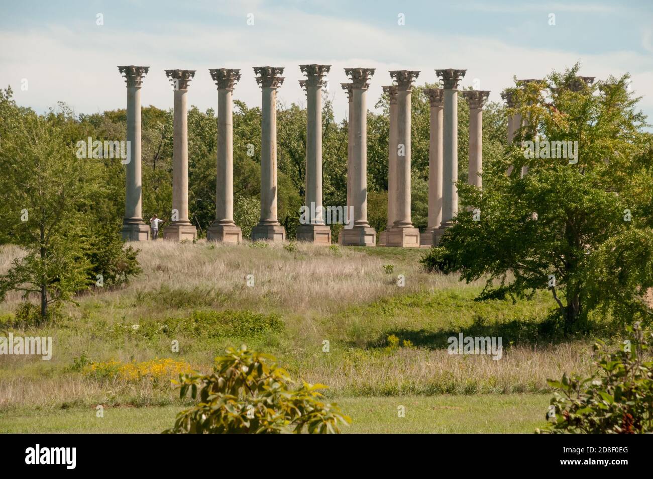 Us capitol and columns hi-res stock photography and images - Alamy