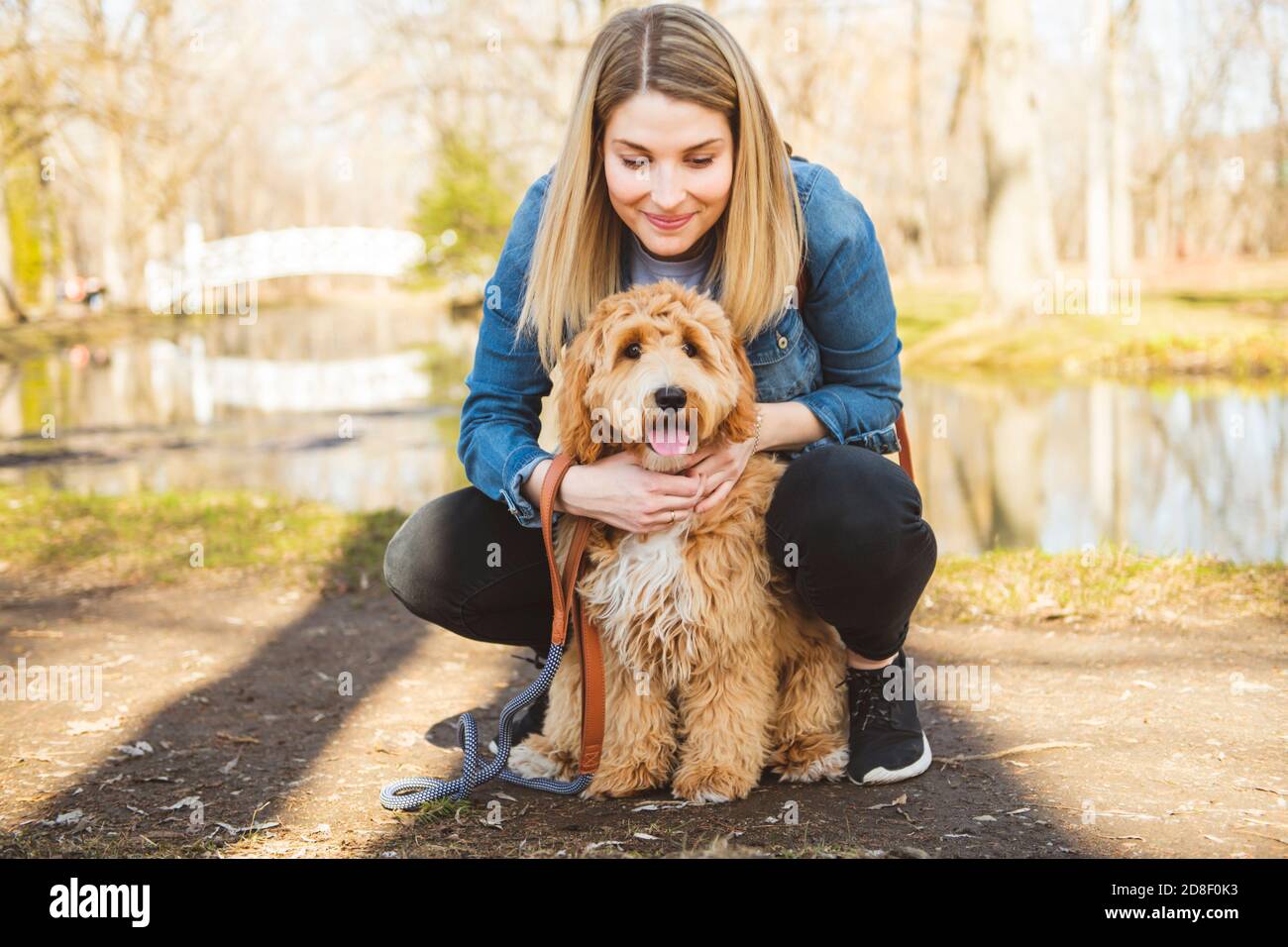 Happy Labradoodle Dog and woman outside at the park Stock Photo - Alamy