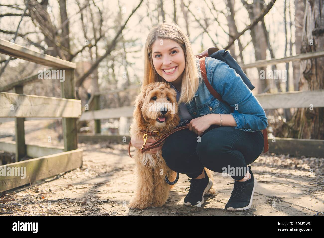 Happy Labradoodle Dog and woman outside at the park Stock Photo - Alamy