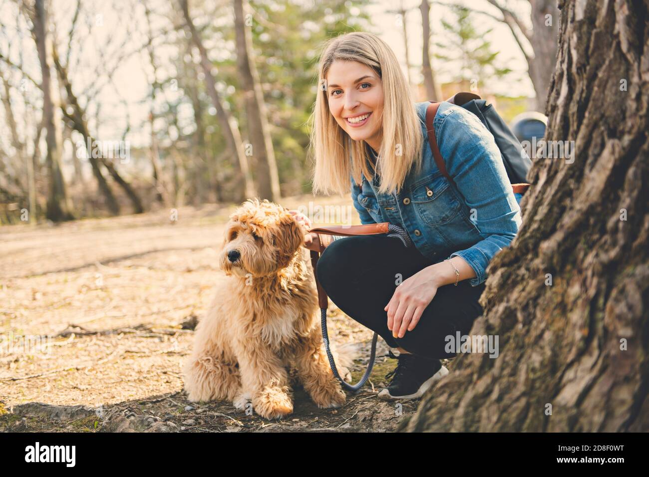 Happy Labradoodle Dog and woman outside at the park Stock Photo - Alamy
