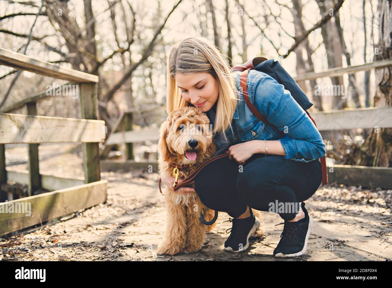 Happy Labradoodle Dog and woman outside at the park Stock Photo - Alamy