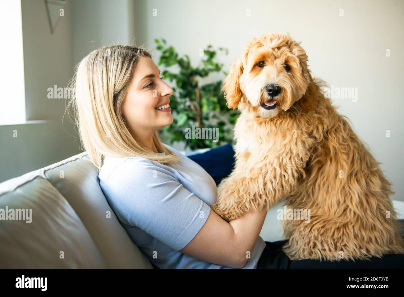 Woman labradoodle hi-res stock photography and images - Alamy