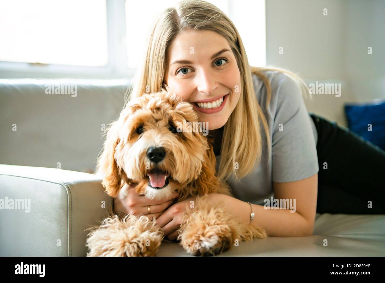 woman with his Golden Labradoodle dog at home Stock Photo - Alamy