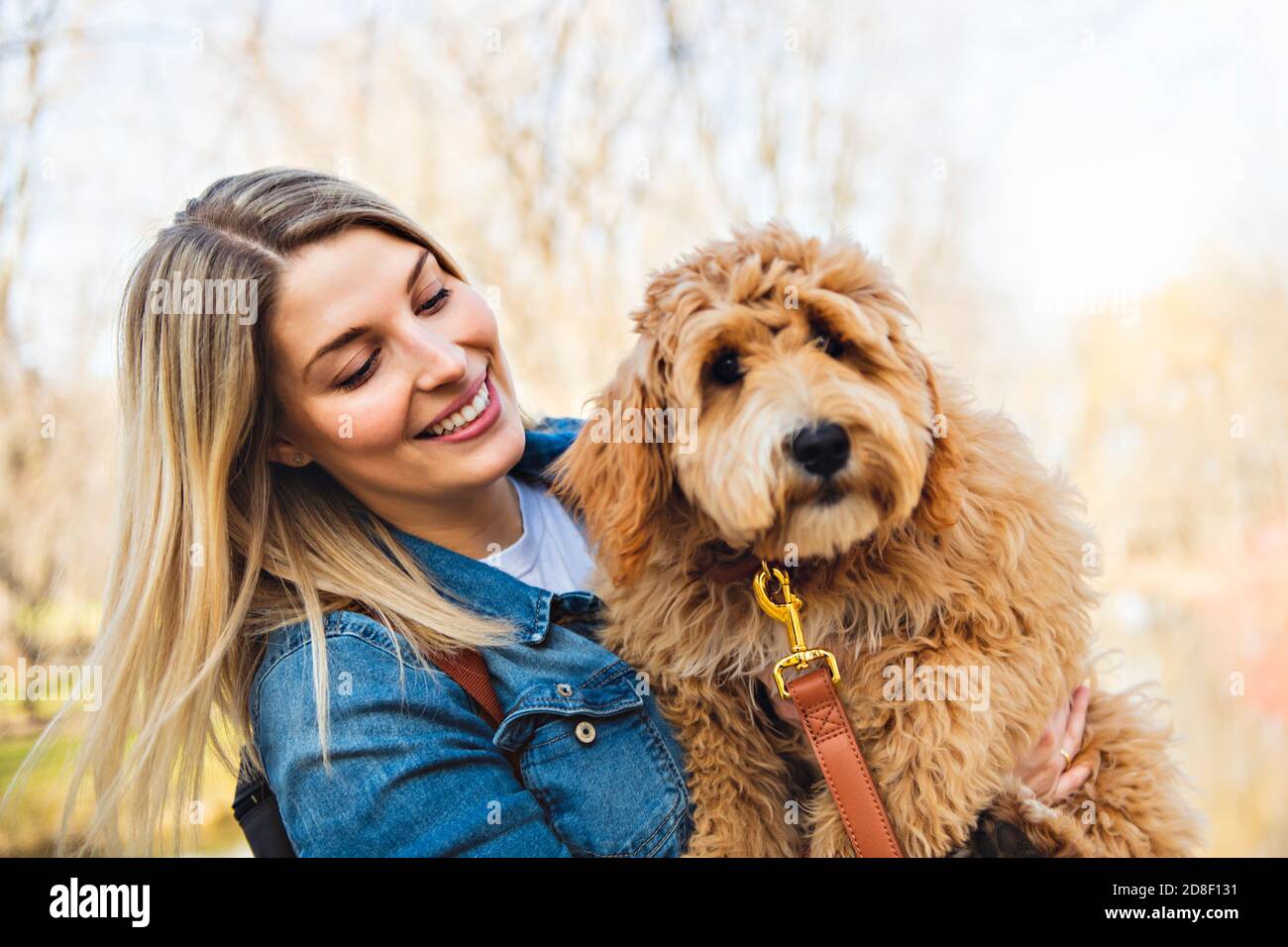 Happy Labradoodle Dog and woman outside at the park Stock Photo - Alamy
