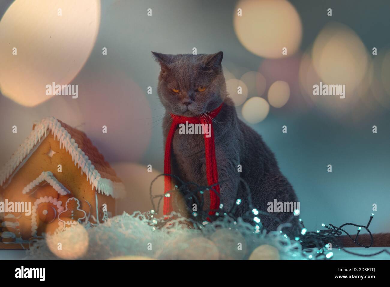 Introvert party hi-res stock photography and images - Alamy