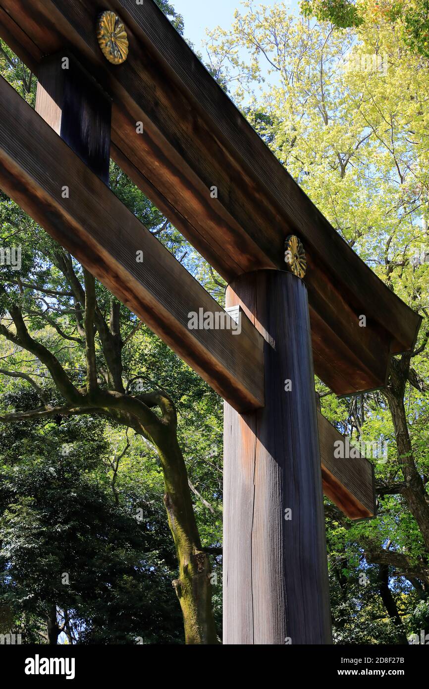 A closed up view of the Big Torii gate (Otorii) of Meiji Jingu (Meiji ...