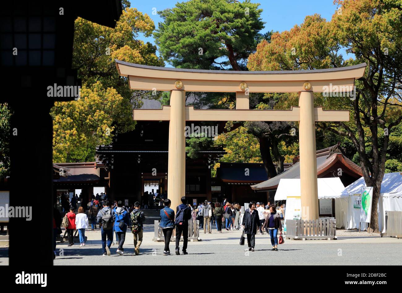 Torii gate in Meiji Jingu (Meiji Shrine).Shibuya.Tokyo.Japan Stock ...