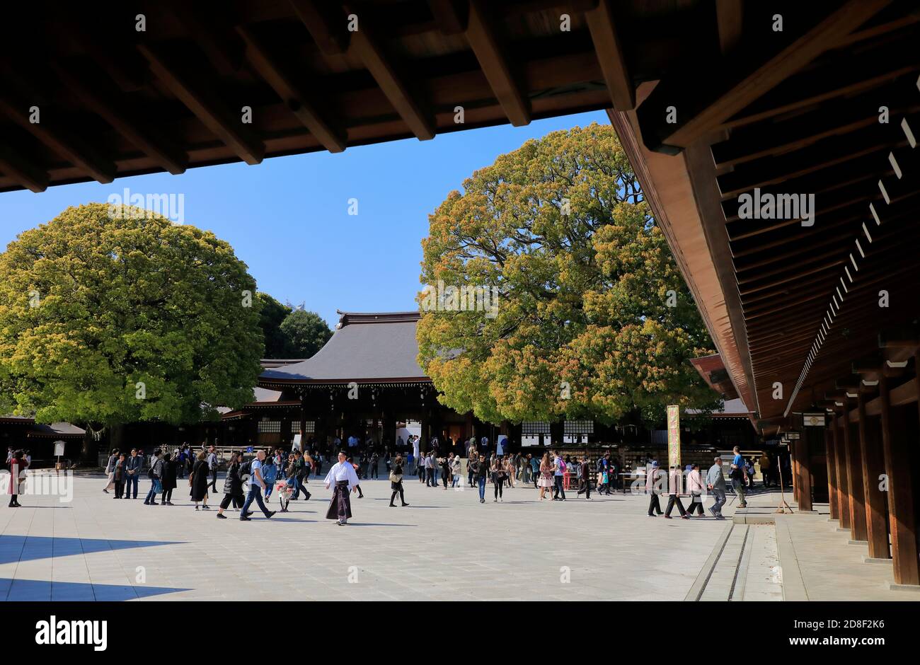 Main hall meiji jingu shinto shrine hi-res stock photography and images ...