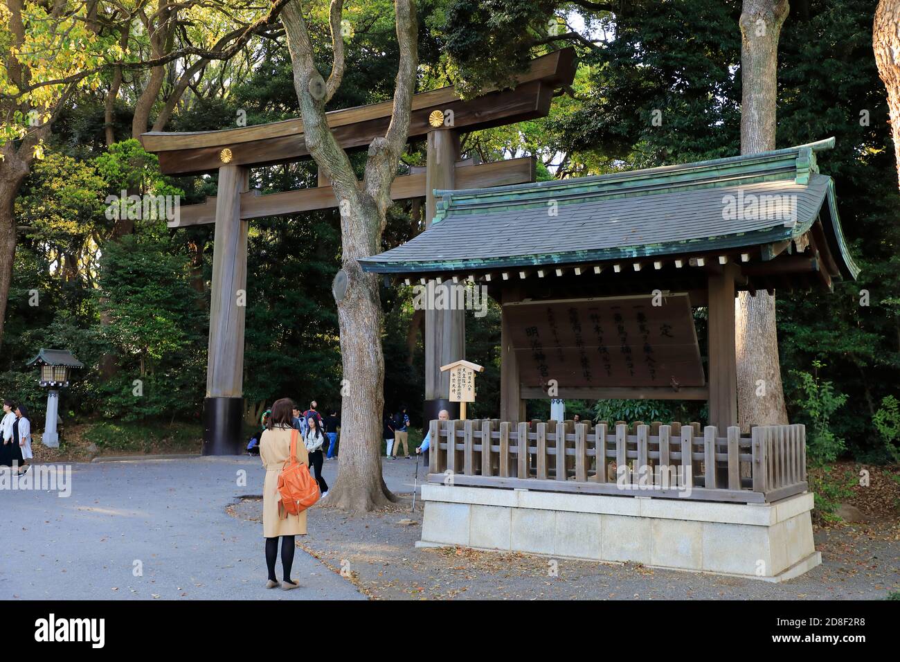 Otorii Gate (Big Torii Gate) of Meiji Jingu (Meiji Shrine).Shibuya ...