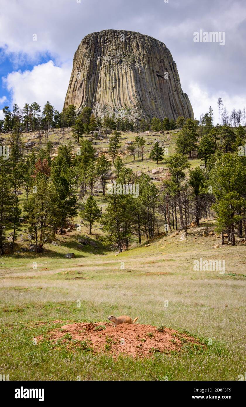 Jurassic period sandstones hi-res stock photography and images - Alamy