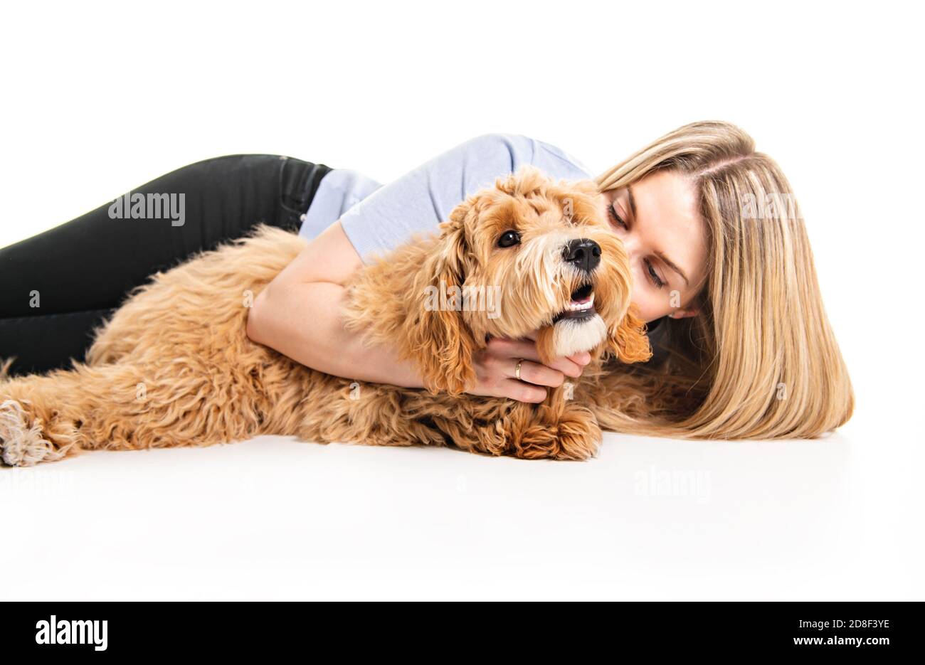 woman with his Golden Labradoodle dog isolated on white background ...
