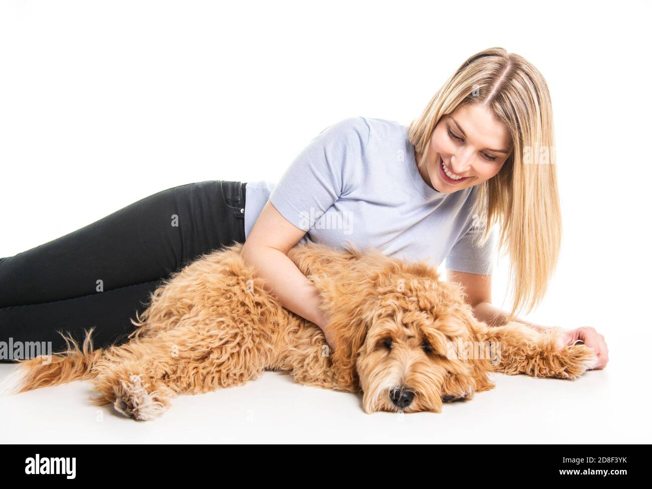 woman with his Golden Labradoodle dog isolated on white background ...