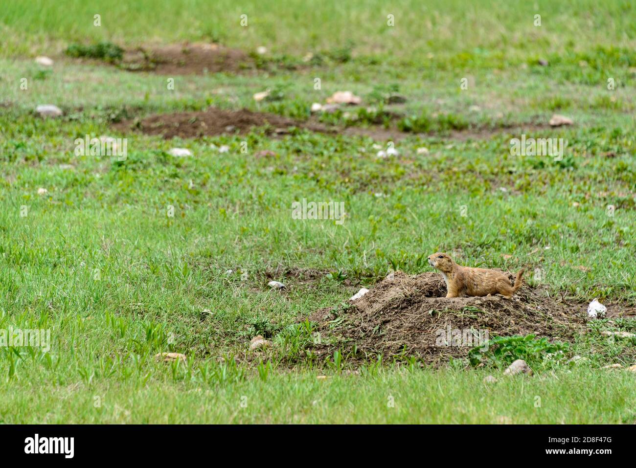 Wind cave hi-res stock photography and images - Alamy