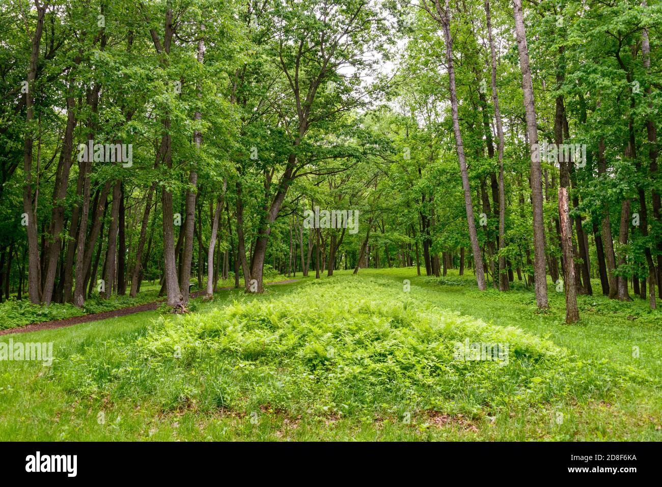 Effigy Mounds National Monument Stock Photo - Alamy