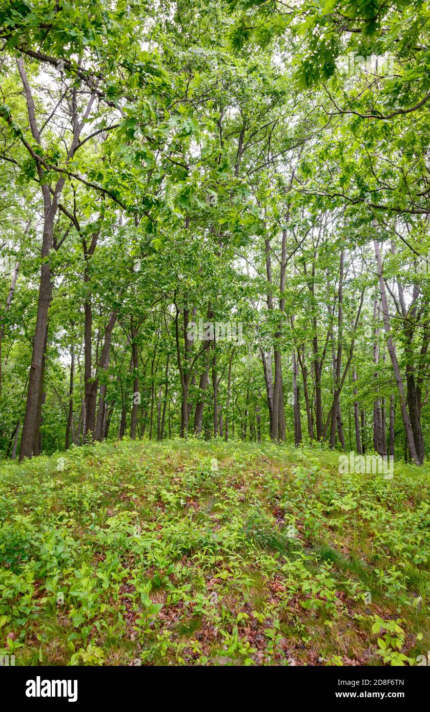 Effigy Mounds National Monument Stock Photo - Alamy