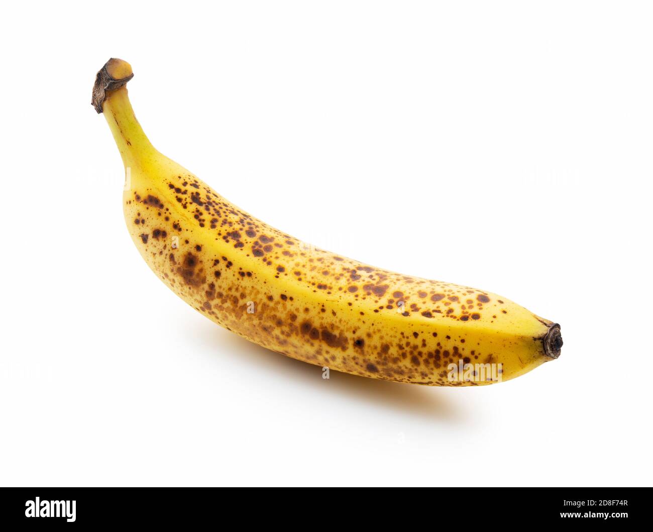 Banana plant pot Cut Out Stock Images & Pictures - Alamy