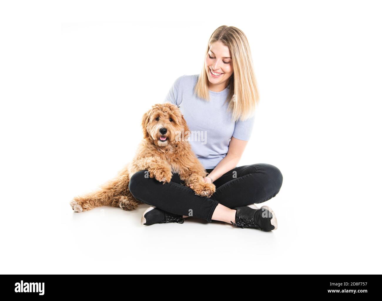 woman with his Golden Labradoodle dog isolated on white background ...