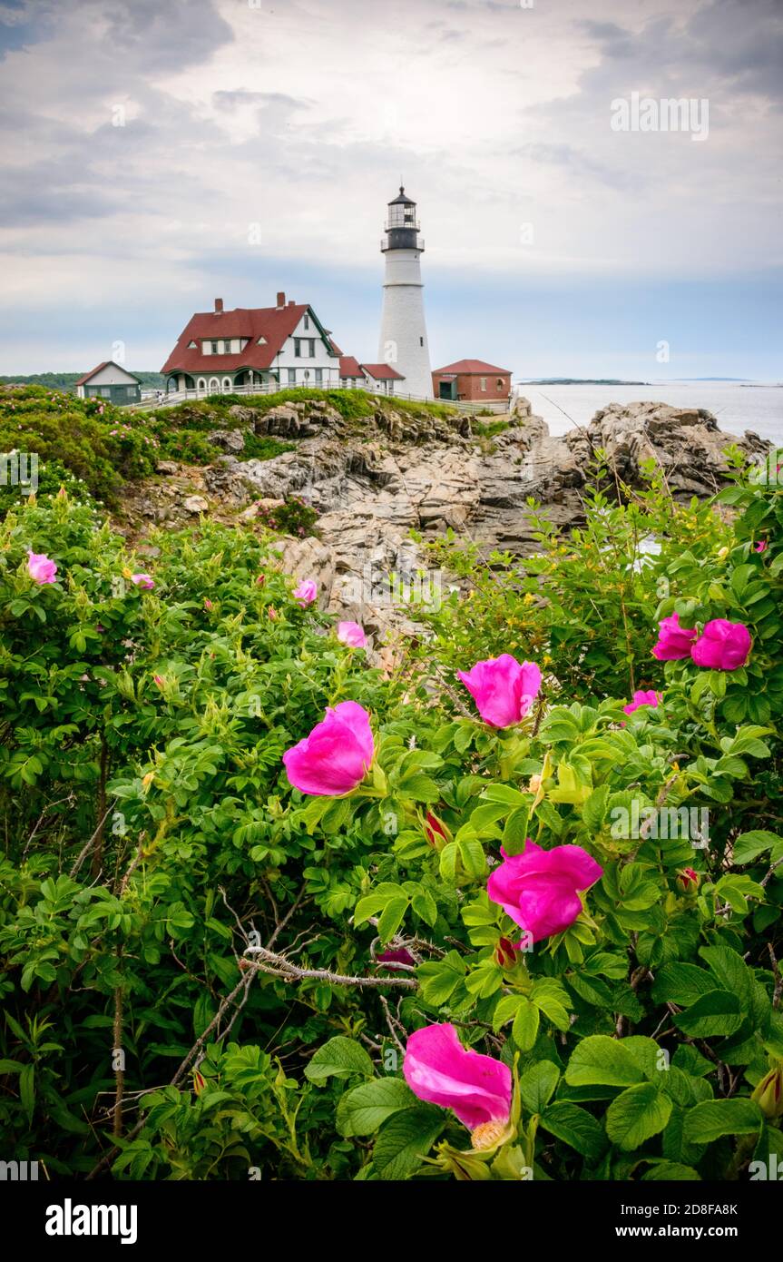 Portland Head Light Stock Photo - Alamy