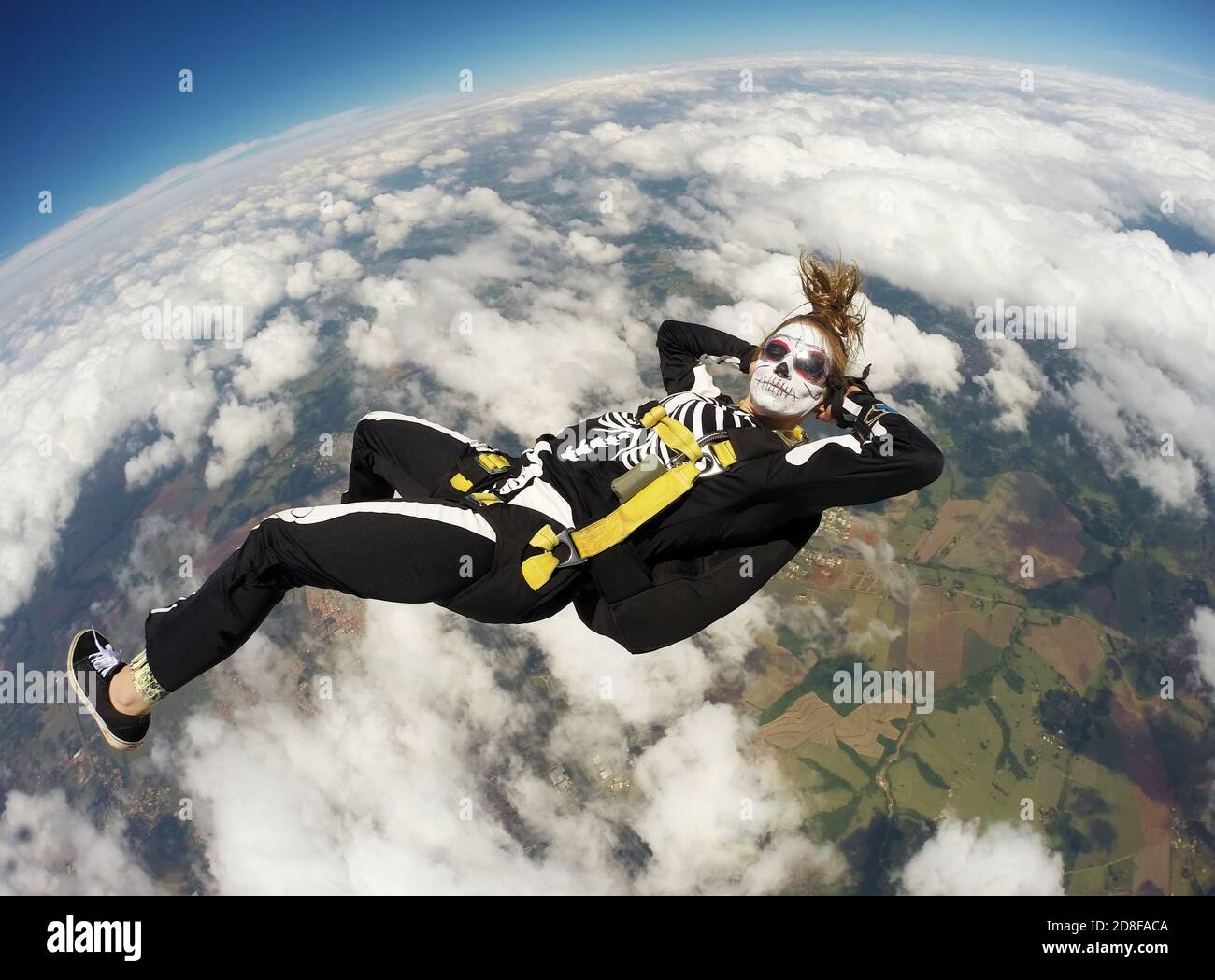 Airplane Skeleton High Resolution Stock Photography and Images - Alamy