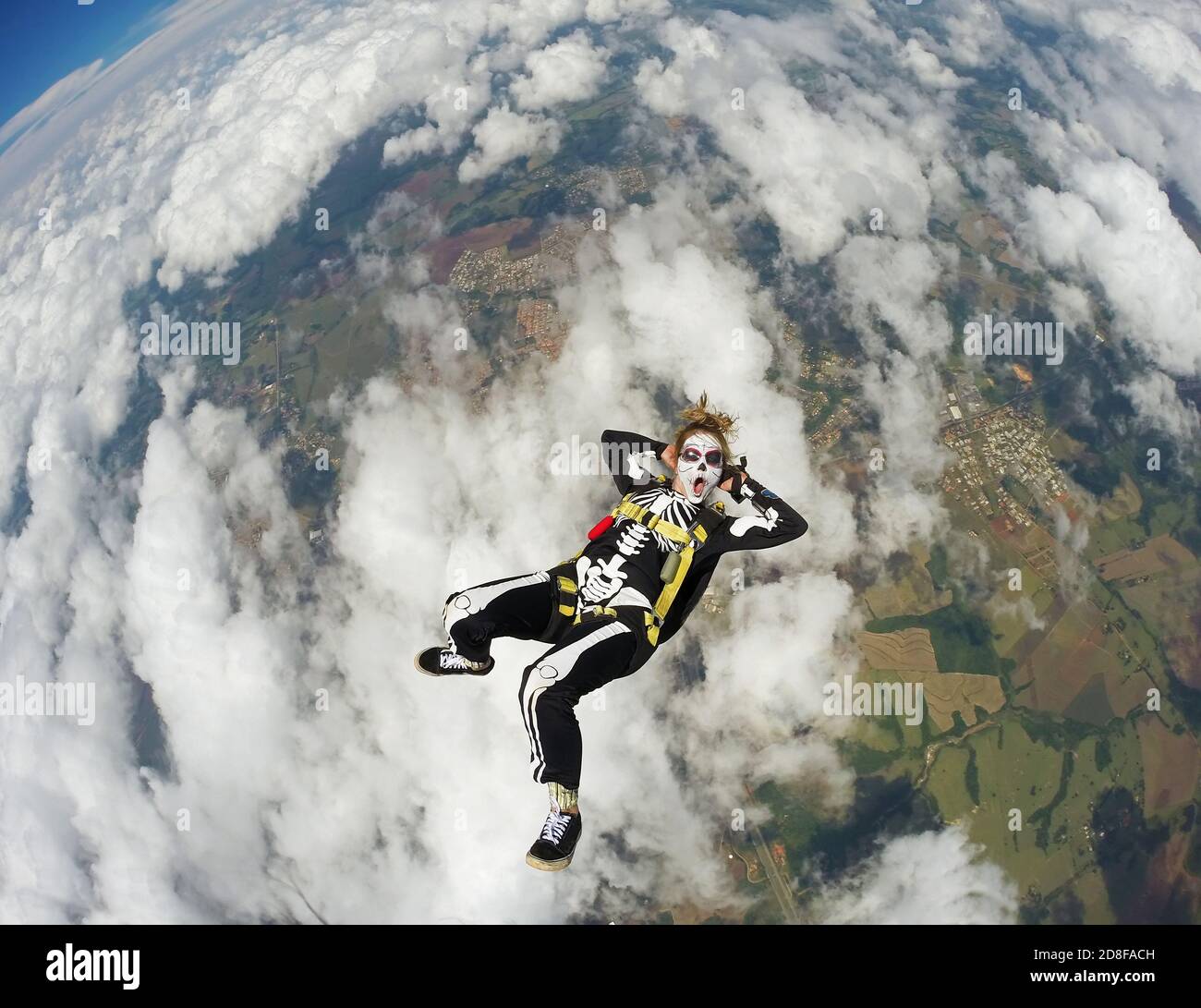 Airplane Skeleton High Resolution Stock Photography and Images - Alamy