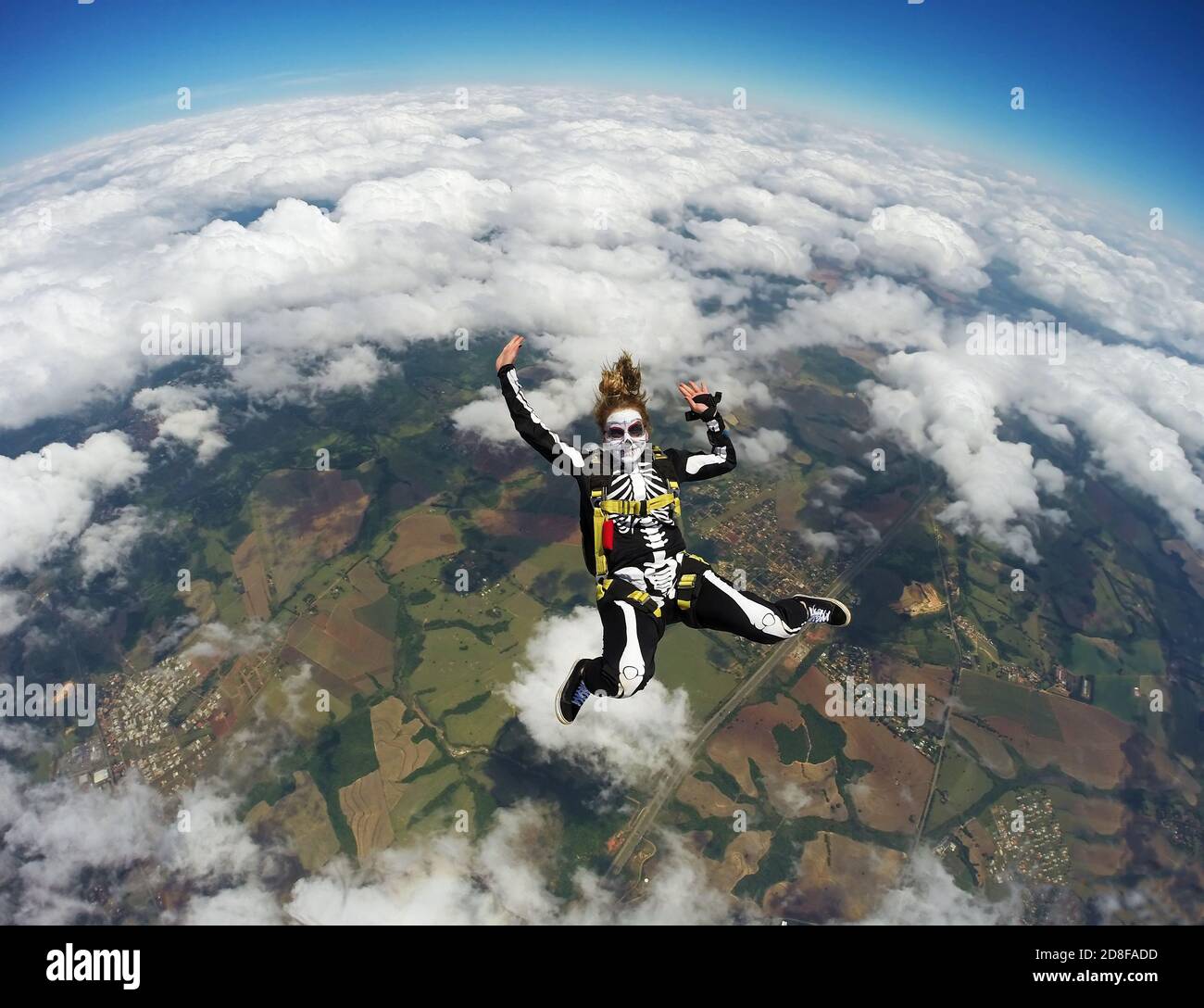 Airplane Skeleton High Resolution Stock Photography and Images - Alamy