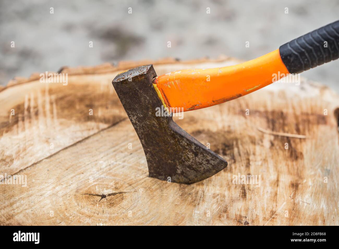 Axed tree hi-res stock photography and images - Alamy