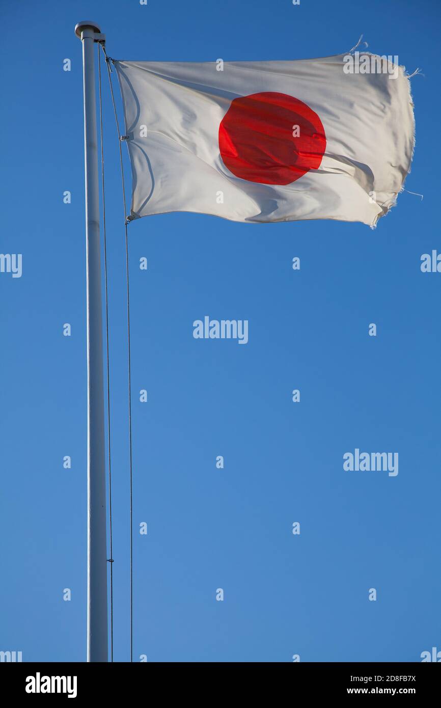 Japan Flag Tokyo High Resolution Stock Photography and Images - Alamy