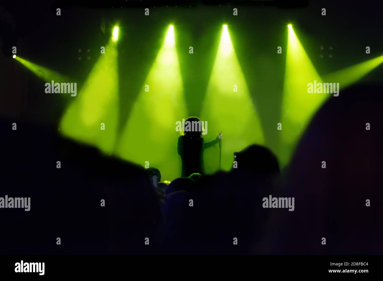 dancing audience at concert at nightclub Stock Photo - Alamy