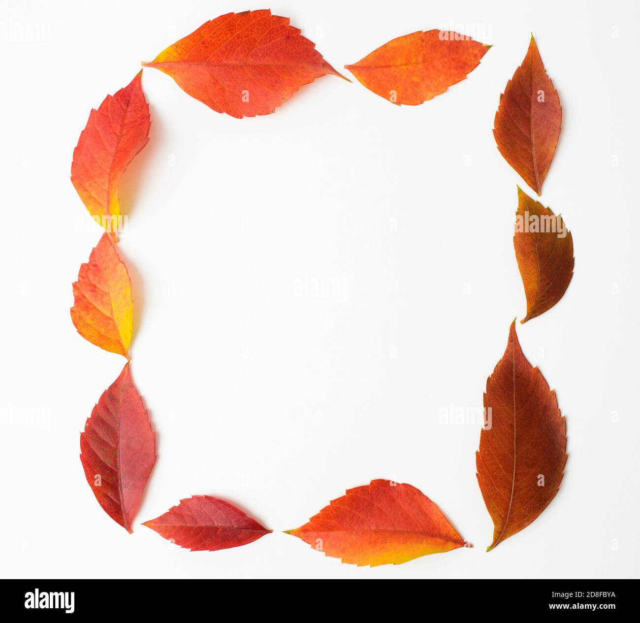 Creative fall autumn composition.Frame made of yellow,orange and red ...